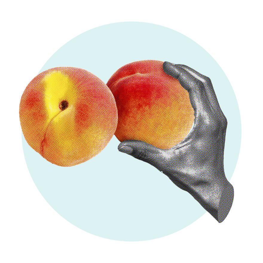 What is an orchidometer, how is it used and where can I order one?