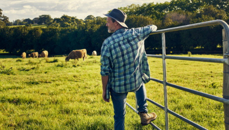 Exploring Men's Mental Health in Rural and Remote Areas