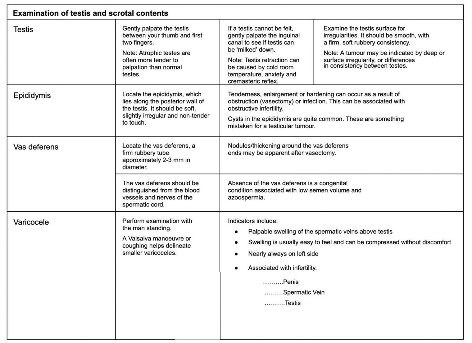 Step-by-step male genital examination clinical summary guide | Healthy Male